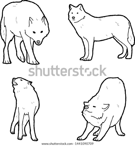 Arctic Wolf Animal Vector Illustration Hand Stock Vector (Royalty Free ...