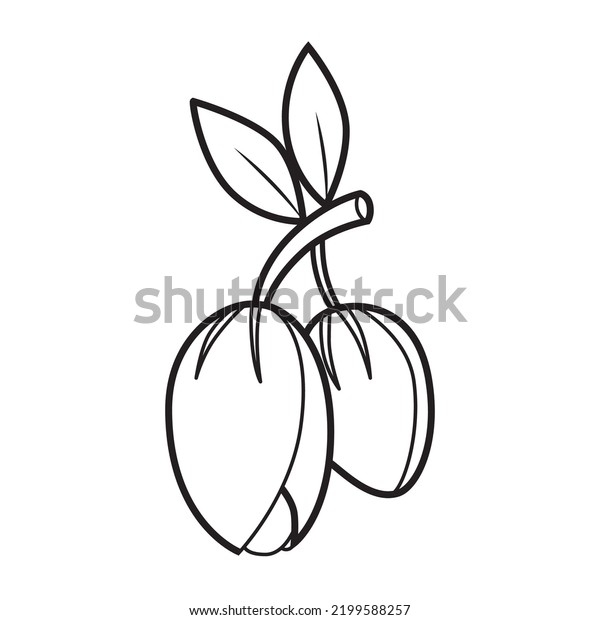 Argan Icon Isolated On White Background Stock Vector (Royalty Free ...