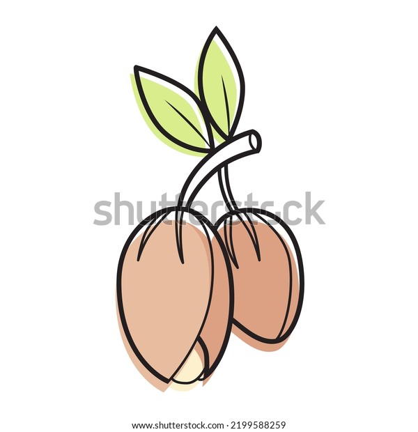 Argan Icon Isolated On White Background Stock Vector (Royalty Free ...