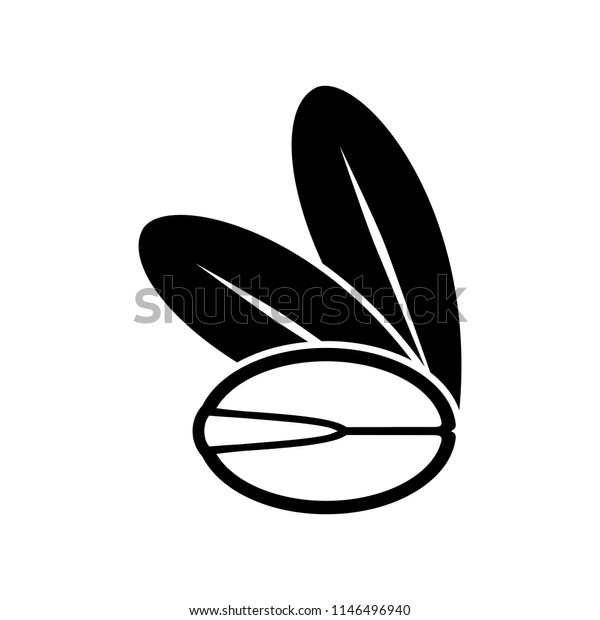 Argan Oil Tree Seed Icon Vector Stock Vector (Royalty Free) 1146496940 ...