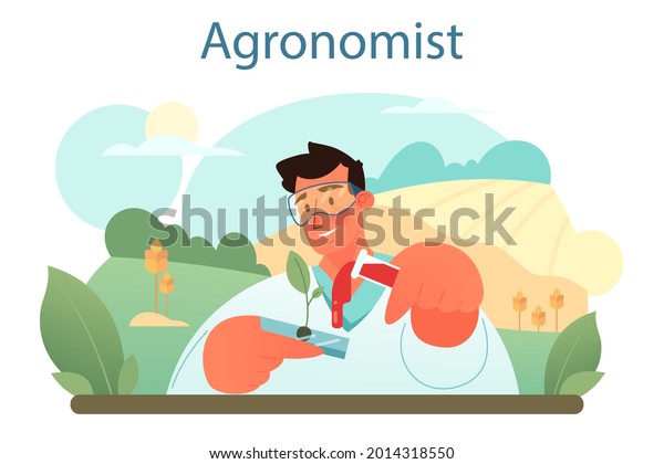 Argonomist Concept Scientist Making Research Agriculture Stock Vector ...