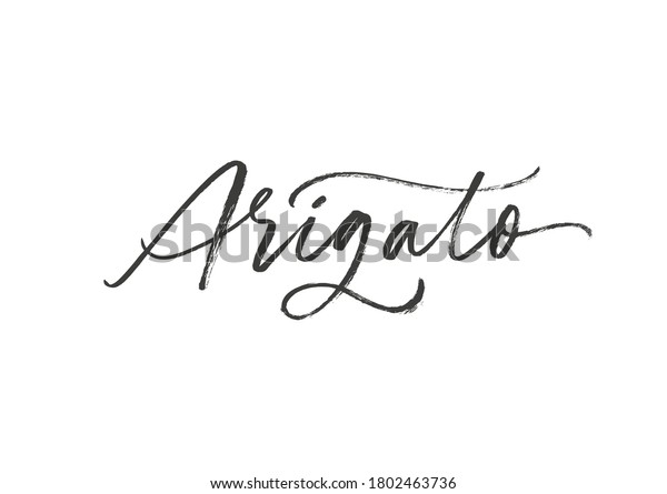 Arigato Ink Brush Vector Lettering Thank Stock Vector (Royalty Free ...