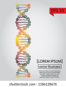 Art Dna Strand Stock Vector (Royalty Free) 1186128676 | Shutterstock