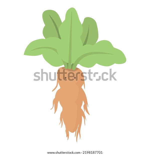 Art Mandrake Icon Cartoon Vector Magic Stock Vector (Royalty Free ...