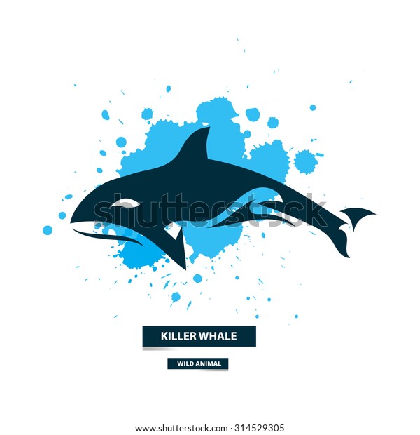 Artistic Killer Whale Icon On Colorful Stock Vector (Royalty Free ...