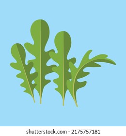 3,155 Arugula drawing Images, Stock Photos & Vectors | Shutterstock