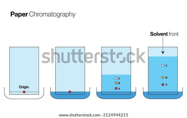 Ascending Paper Chromatography Vector Illustration White 库存矢量图（免版税 ...