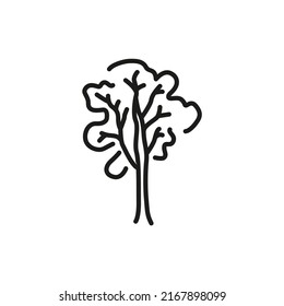 Ash Tree Color Line Icon Pictogram Stock Vector (Royalty Free ...