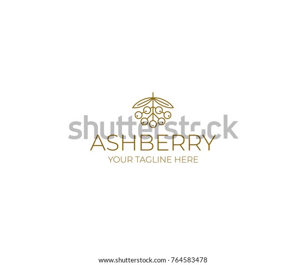 Ashberry Logo Template Rowanberry Line Elegant Stock Vector (Royalty ...
