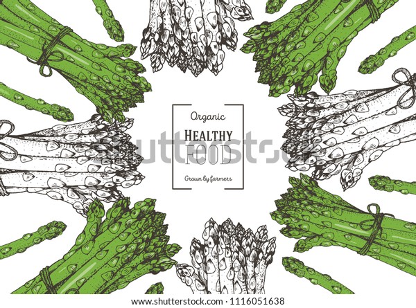 Asparagus Vector Illustration Vegetable Design Template Stock Vector ...