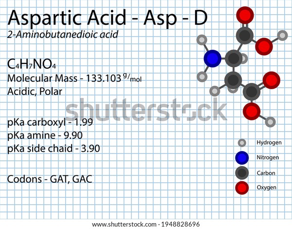 Aspartic Acid Asp D Amino Acid Stock Vector (Royalty Free) 1948828696 ...