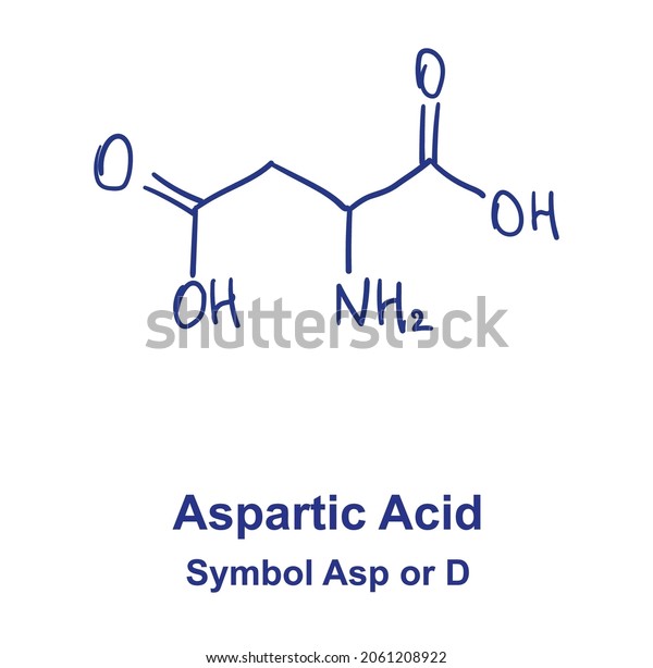 Aspartic Acid Aspartate Chemical Structure Vector Stock Vector (Royalty ...