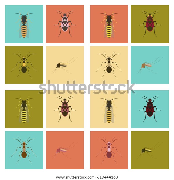 Assembly Flat Illustrations Insect Wasp Soldier 스톡 벡터(로열티 프리) 619444163 ...