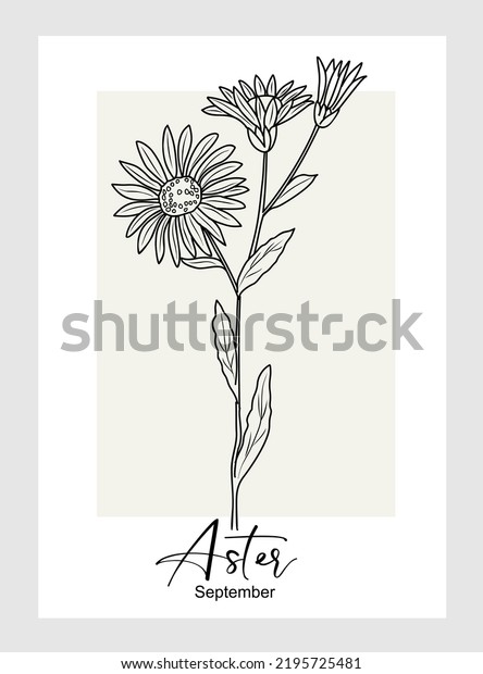 Aster Flower Line Art Vector Illustration: Vector có sẵn (miễn phí bản ...