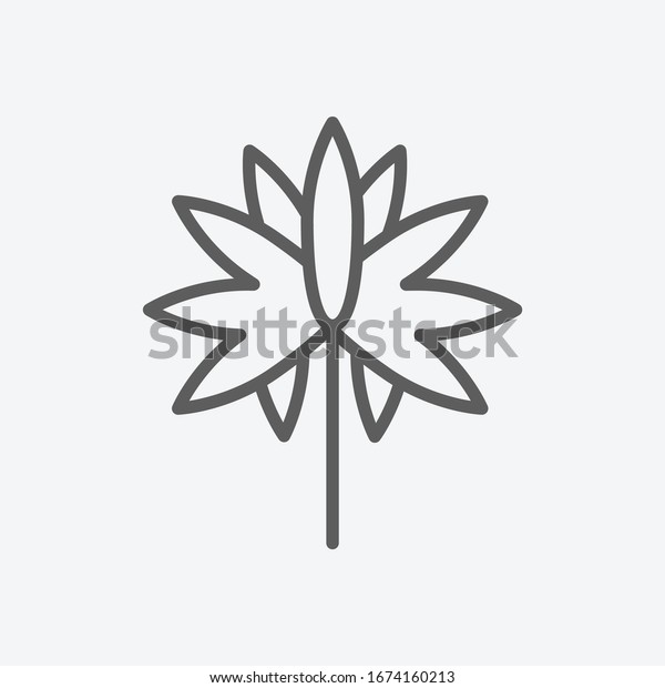 Aster Icon Line Symbol Isolated Vector Stock Vector (Royalty Free ...