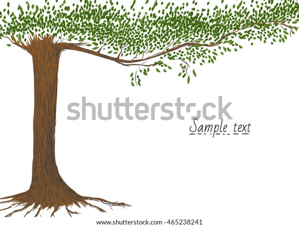 Asymmetric Background Tree Thick Trunk Lush Stock Vector (Royalty Free ...