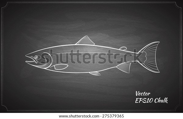 Atlantic Salmon Fish Chalk Painted On Stock Vector (Royalty Free) 275379365