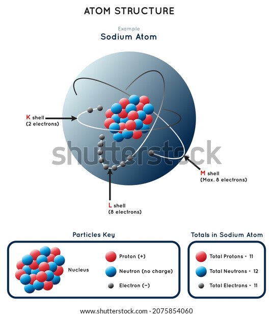 Atom Structure Infographic Diagram Showing Example 库存矢量图（免版税）2075854060 ...