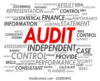 Audit Word Cloud Business Concept Stock Vector (Royalty Free) 252003841 ...