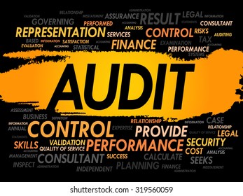 Audit Word Cloud Business Concept Stock Vector (Royalty Free) 319560059 ...