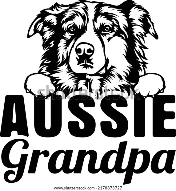 Aussie Austrailian Shepherd Dog Eps Vector Stock Vector (Royalty Free ...