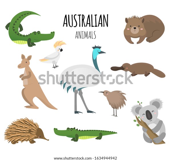 Australian Animals Vector Set Kangaroo Koala Stock Vector (Royalty Free ...
