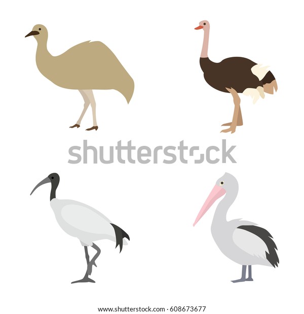 Australian Birds Vector Icons Stock Vector (Royalty Free) 608673677