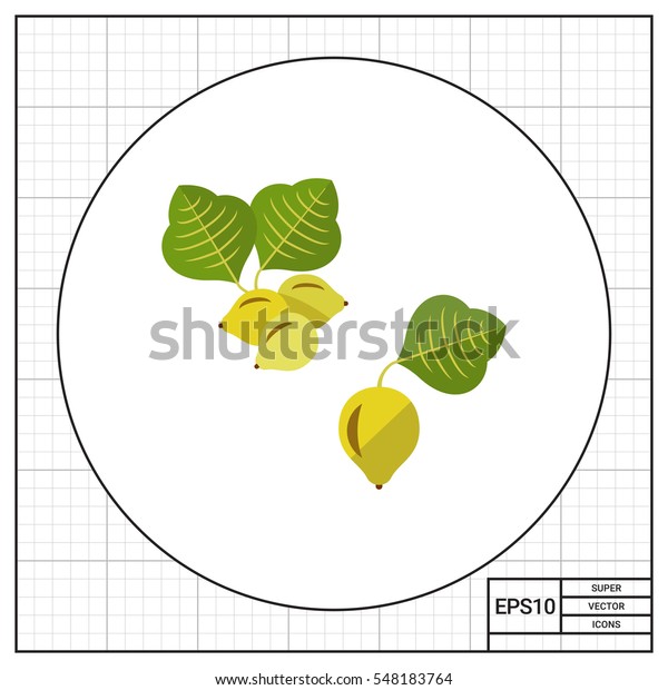 Australian Kakadu Plum Vector Icon Stock Vector (Royalty Free ...