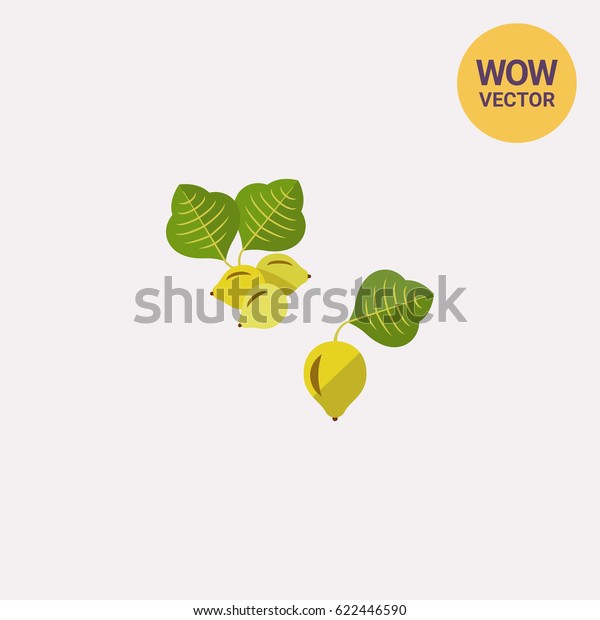 Australian Kakadu Plum Vector Icon Stock Vector (Royalty Free ...