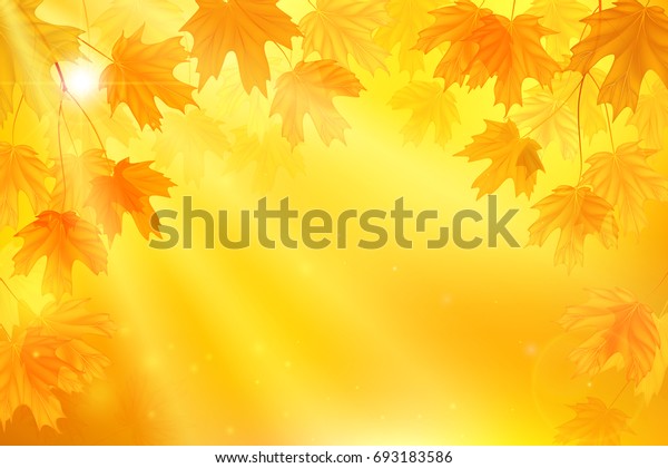 Autumn Background Yellow Leaves 스톡 벡터(로열티 프리) 693183586 | Shutterstock