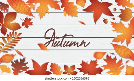 Autumn Horizontal Frame Falling Leaves White Stock Vector (Royalty Free ...