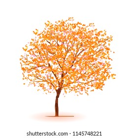 Autumn Leaf Tree Icon Stock Vector (Royalty Free) 1145748221 | Shutterstock