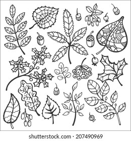 Autumn Leaves Doodle Set Linear Vector Stock Vector (Royalty Free ...