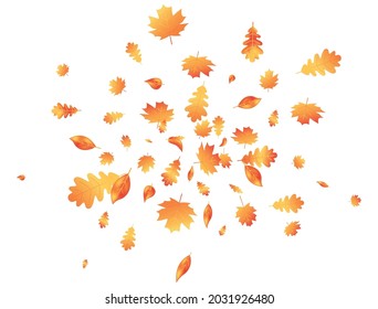 12,338 Flying maple leaf Images, Stock Photos & Vectors | Shutterstock