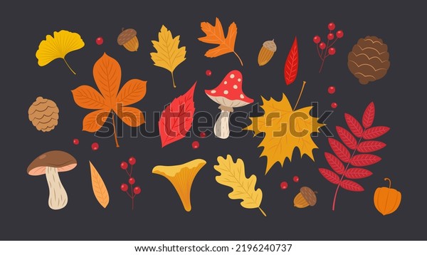 Autumn Leaves Set Cute Different Leaves Stock Vector (Royalty Free ...