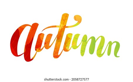 Autumn Lettering Text Isolated White Background Stock Vector (Royalty ...