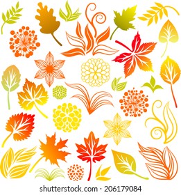 Autumn Set Stock Vector (Royalty Free) 206179084 | Shutterstock