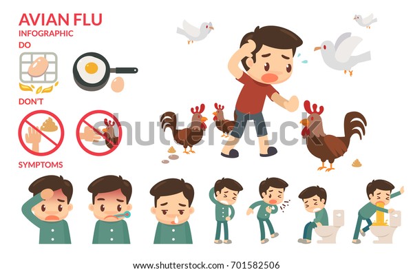 Avian Flu Infographic Stock Vector (Royalty Free) 701582506