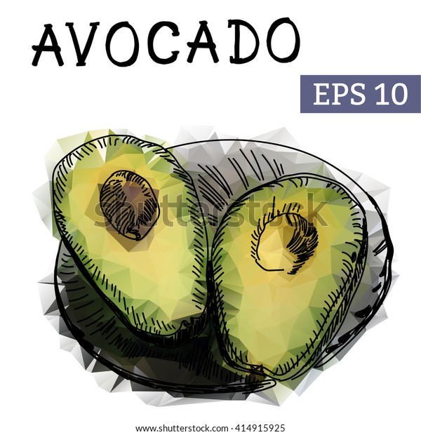 Avocado Illustration Vector Sketch Drawing Sliced Stock Vector (Royalty ...
