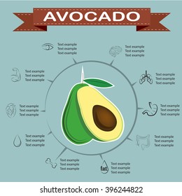 2,369 Avocado infographic Images, Stock Photos & Vectors | Shutterstock