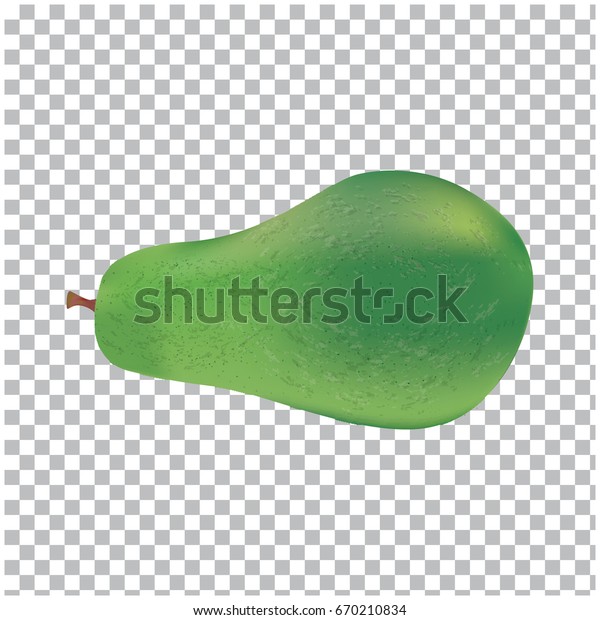 Avocado Isolated On Transparent Background Realistic Stock Vector ...