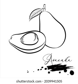 Avocado Line Art Vector Illustration Stock Vector (Royalty Free ...