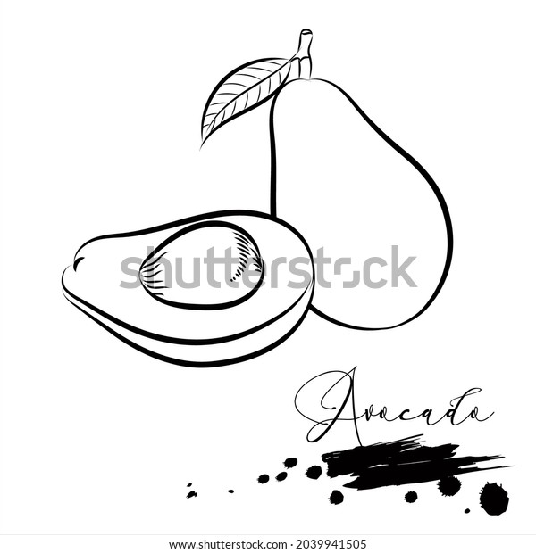 Avocado Line Art Vector Illustration Stock Vector (Royalty Free ...