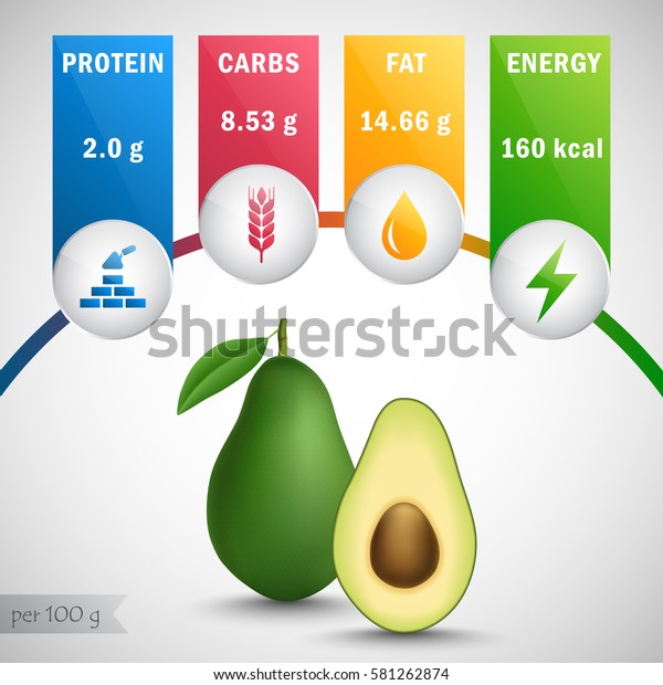 Avocado Nutrients Vector Protein Carbs Fat Stock Vector (Royalty Free ...