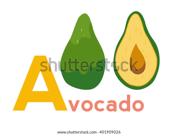 Avocado Vector Illustration Abc Avocado Education Stock Vector (Royalty ...