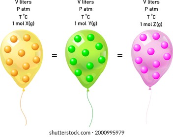 Avogadros Law Equal Moles Different Gases Stock Vector (Royalty Free ...