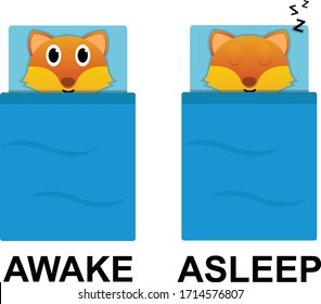 Awake Asleep Comparison Kids Vector Illustration Stock Vector (Royalty ...