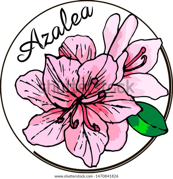 Azalea Room Flower Circle Logo Stock Vector (Royalty Free) 1470841826 ...