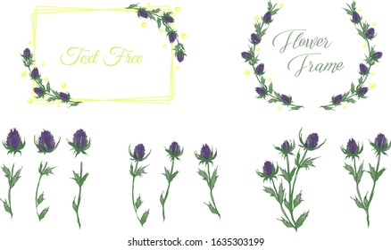 6,133 Thistle Stock Vectors, Images & Vector Art | Shutterstock