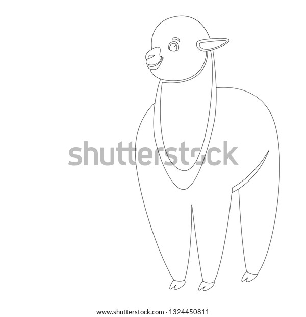 Baby Lama Vector Illustrationlining Drawfront Side: เวกเตอร์สต็อก (ปลอด ...